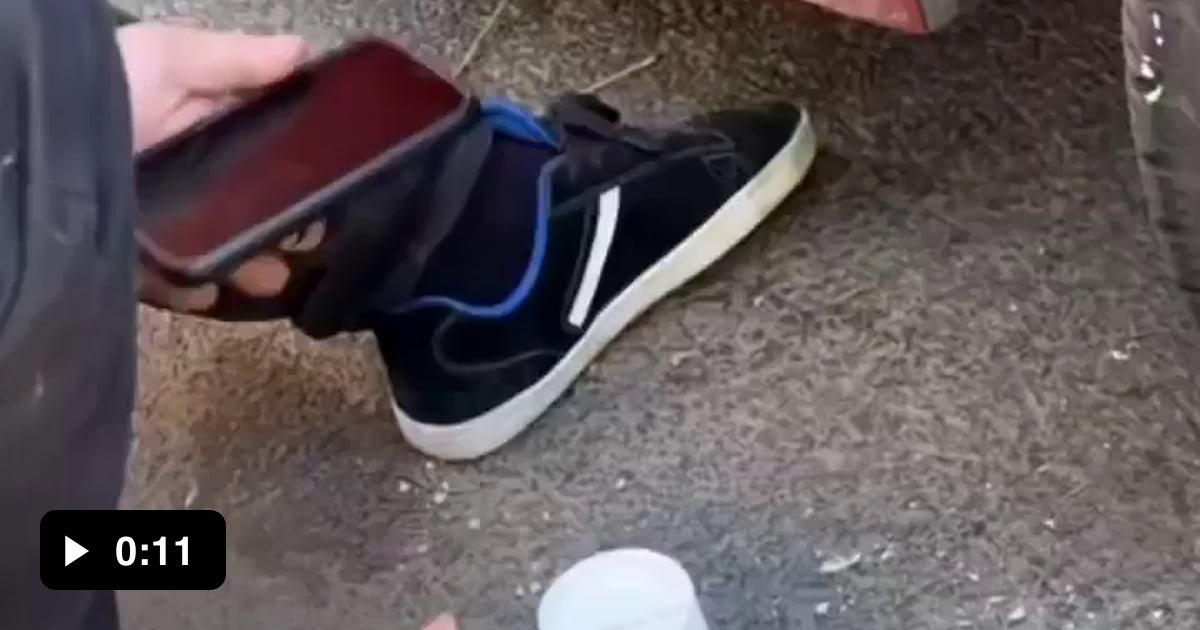 Task failed successfully - 9GAG