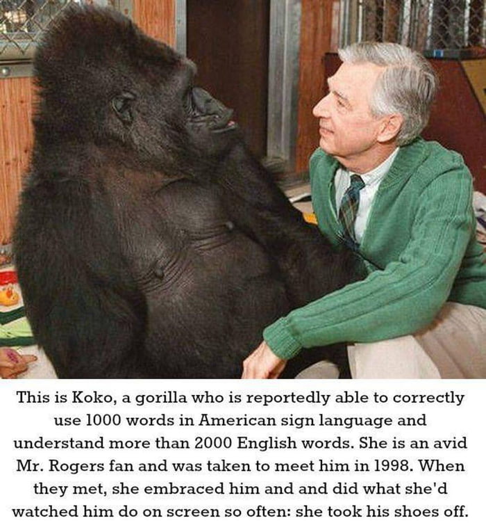 Bffs 9gag