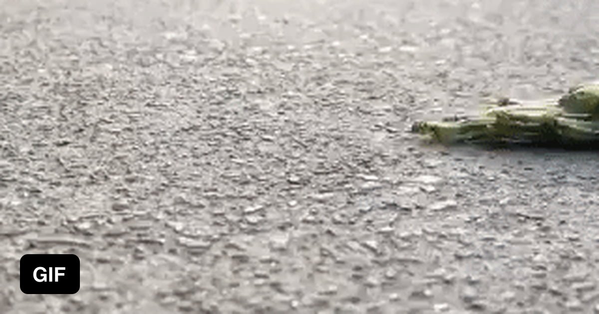 A group of caterpillars, moving in a formation known as a rolling swarm ...