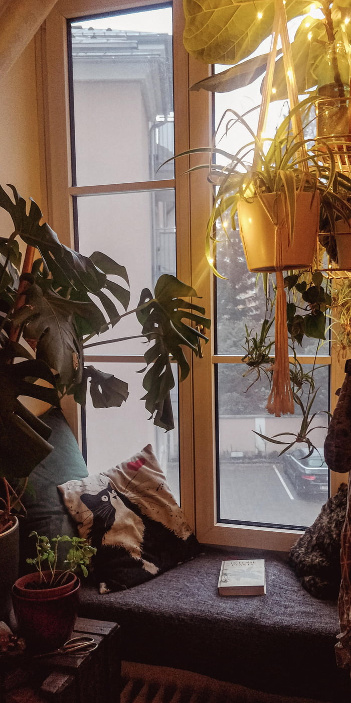 Turned a windowsill into a cozy reading nook :) - 9GAG