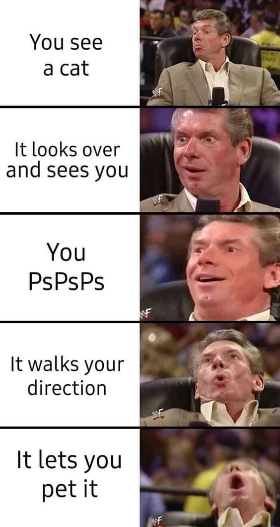 Pspspsps hahahaha - 9GAG