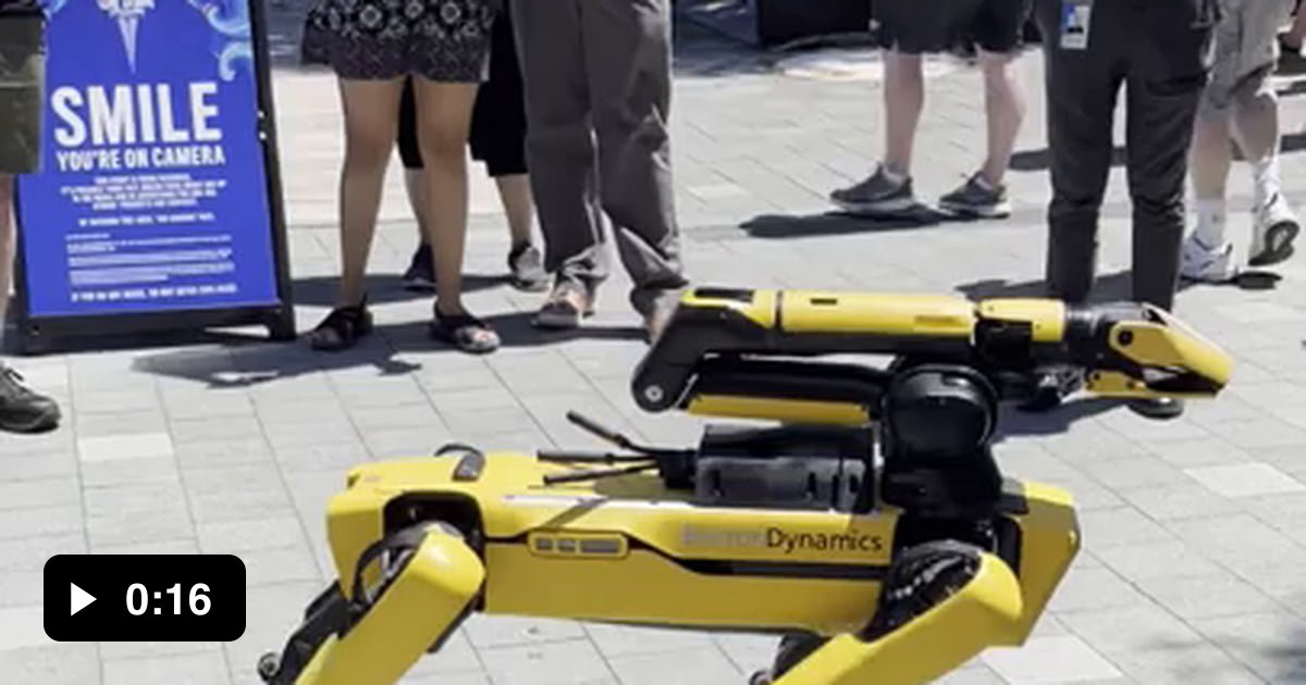 Boston Dynamics robot dog Dancing along with a person - 9GAG