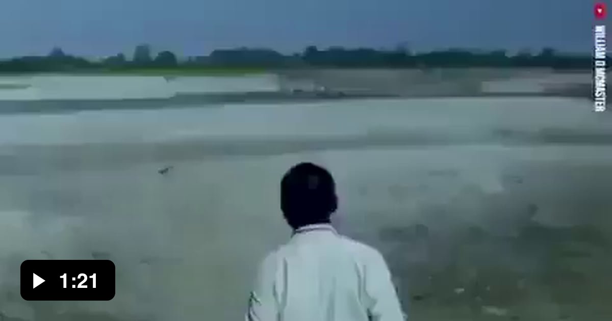 Jadav Payeng: The Man Who Planted an Entire Forest by Himself, known as ...