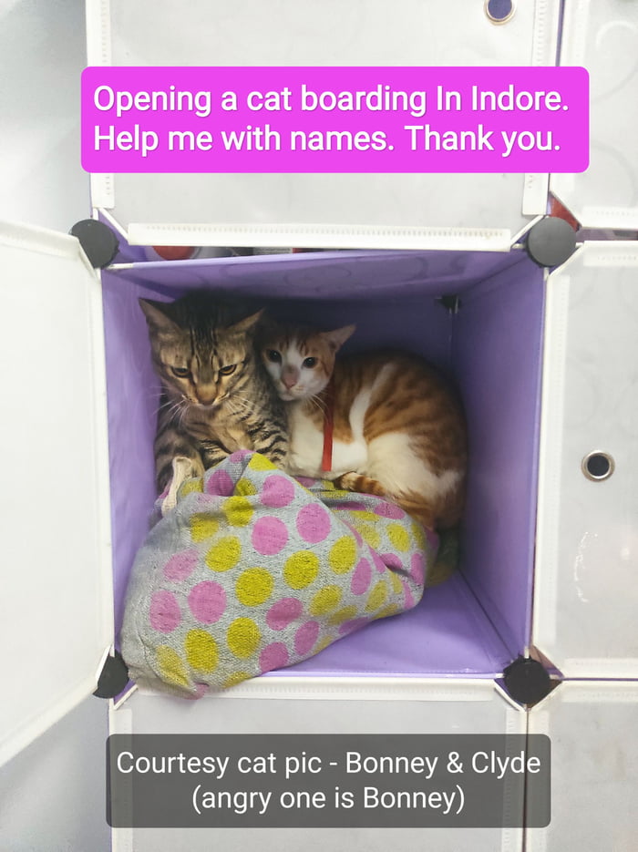 Hi peeps, need suggestions. - 9GAG