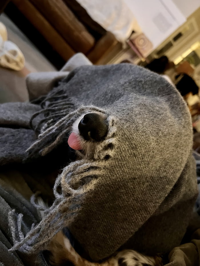 Illegally derpy - 9GAG