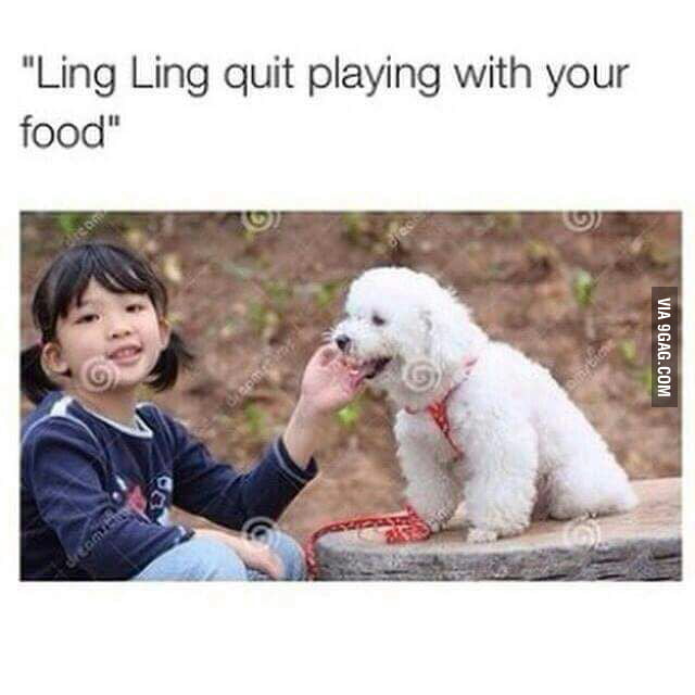 Dammit Ling Ling. - 9GAG