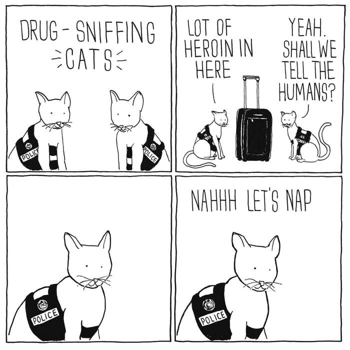 Detection cats - 9GAG