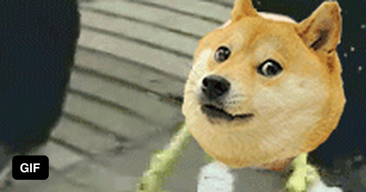 Dancing Doggo - 9GAG