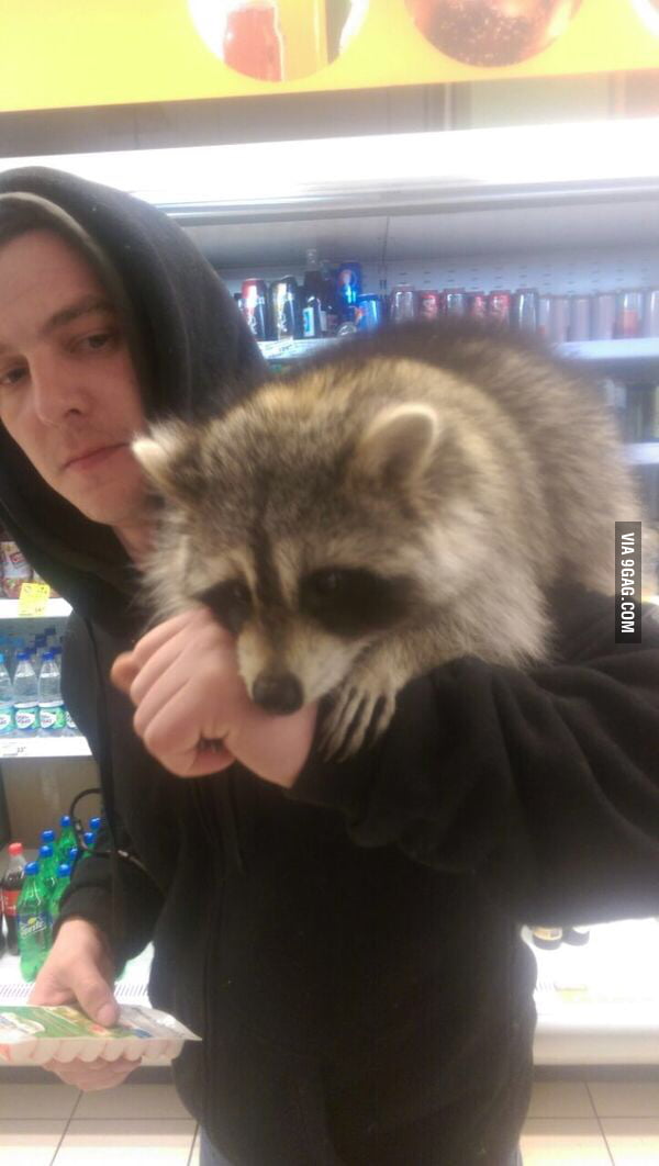 Find this guy at the supermarket - 9GAG