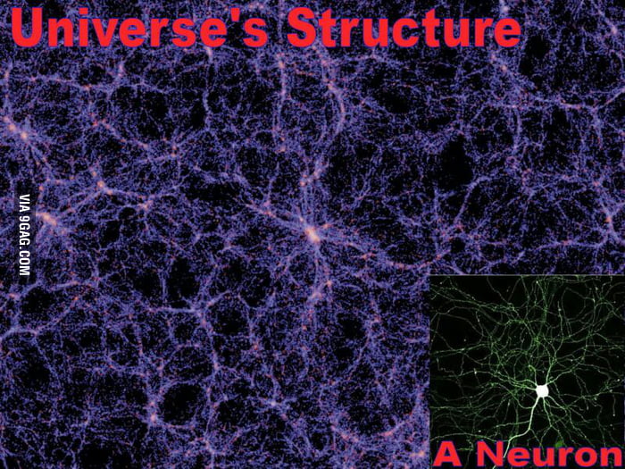 So I googled zoomed out image of the universe, it looks like the ...