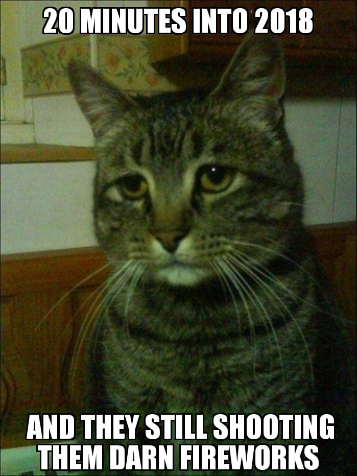 I hate them darn fireworks popping for weeks - 9GAG