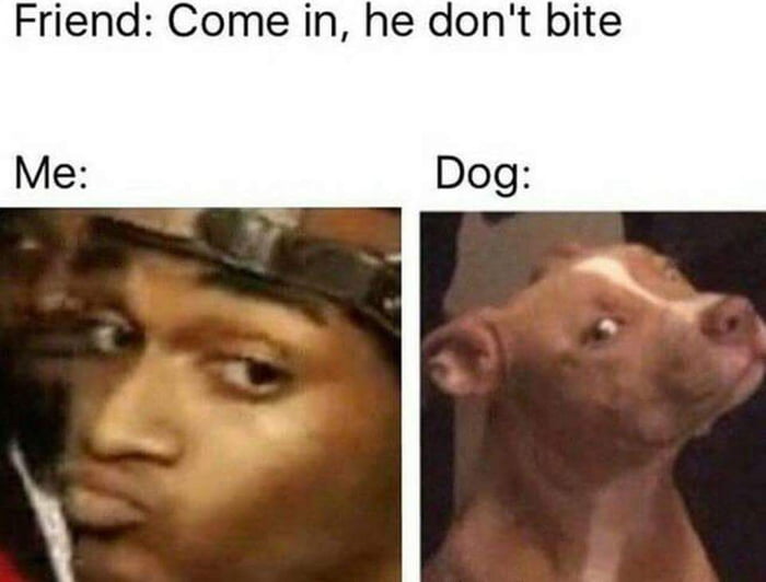 Wuff wuff wuff - 9GAG