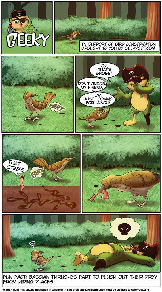 Birds farting - 9GAG