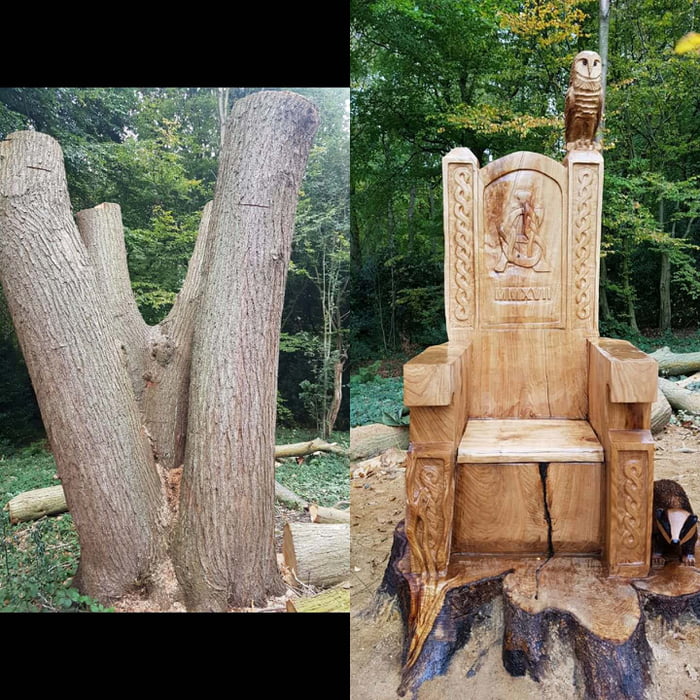 Amazing throne from tree stump - 9GAG