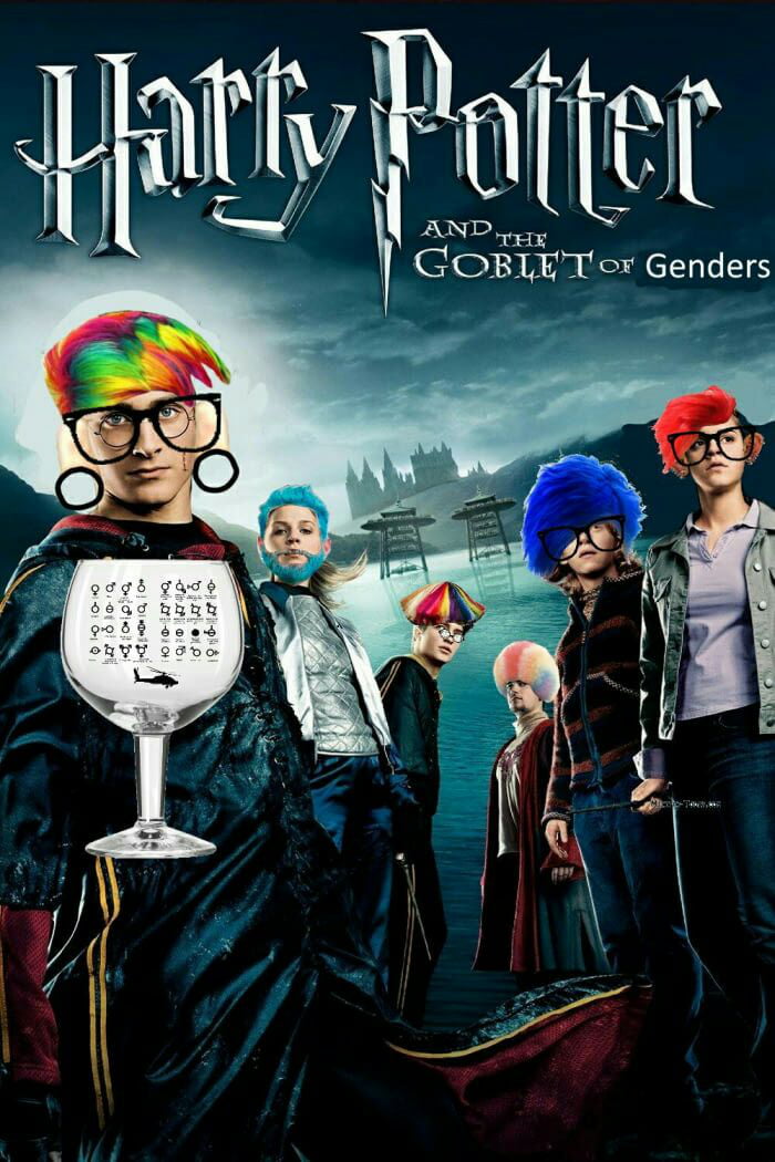 Where non-binary gender-neutral trannies reside. In the goblet of... - 9GAG