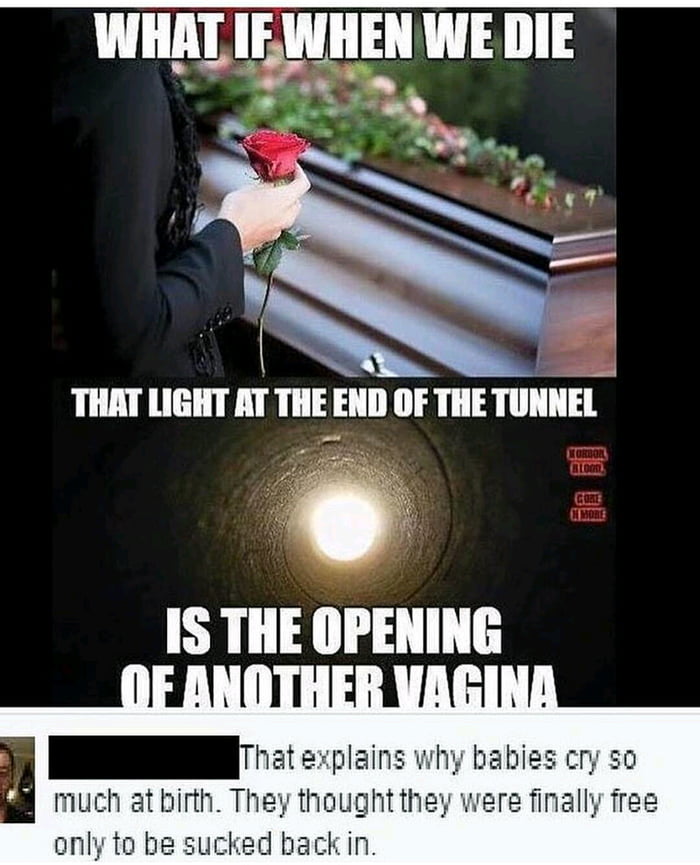 That might explain it - 9GAG