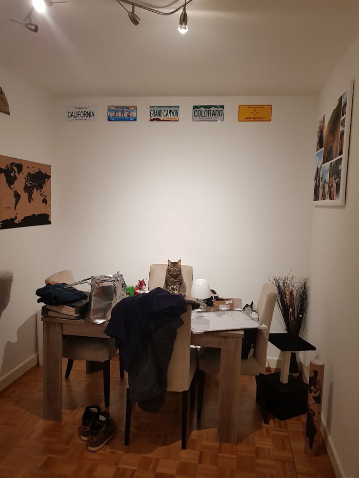 Guess my cat have a quest for me - 9GAG