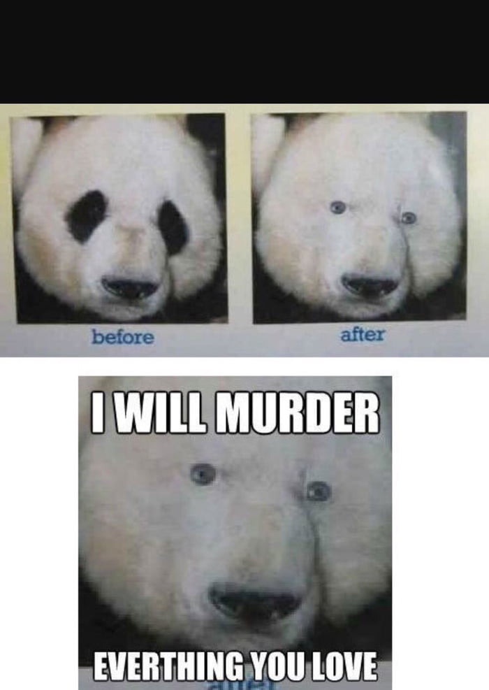 Panda without black spots - 9GAG