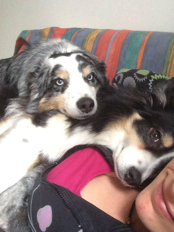 Siblings - double the weight, double the love. - 9GAG