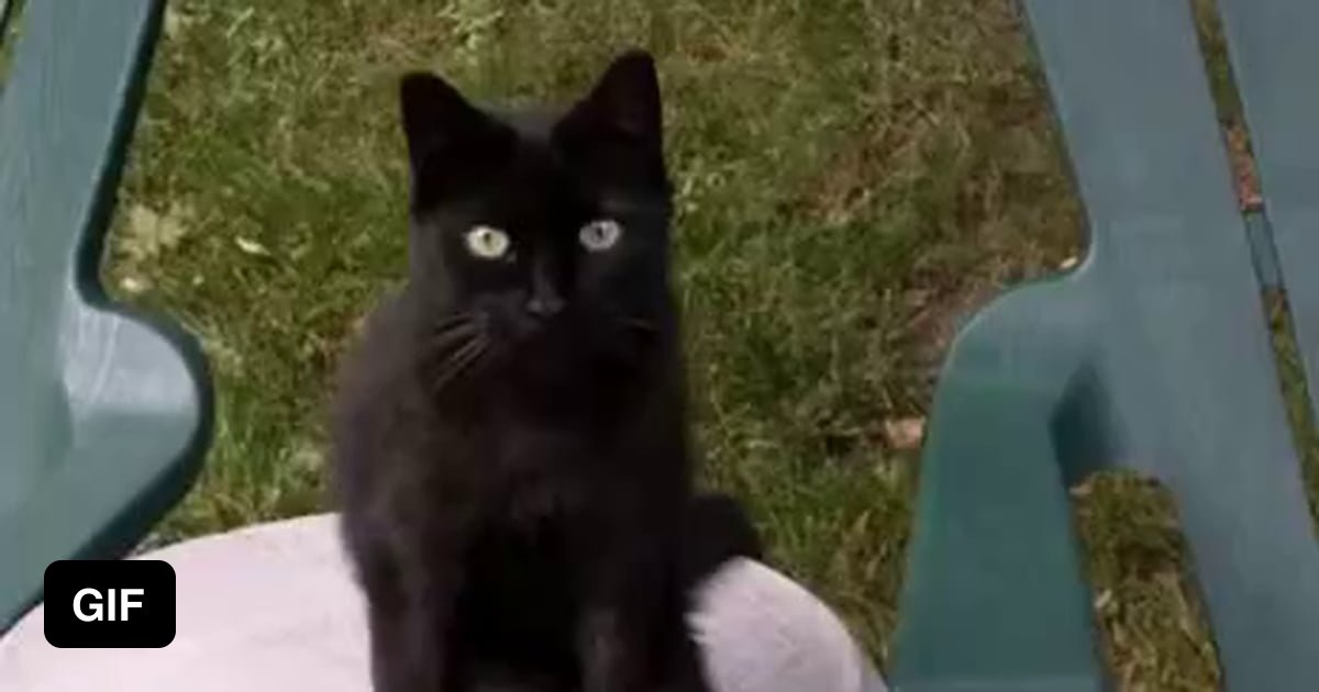 You may pass if you solve three riddles - 9GAG