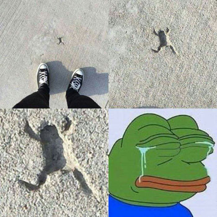 R.I.P frog - 9GAG