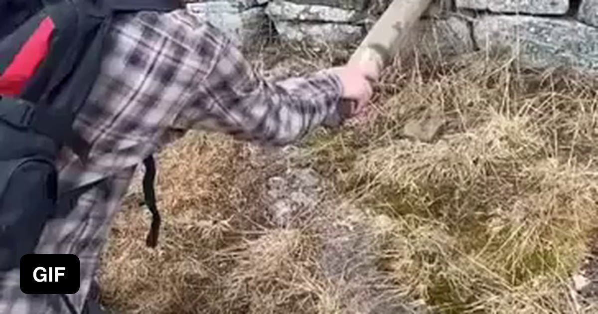 Just a stick? Nope - 9GAG