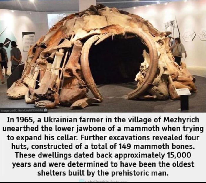 Oldest known man made shelter, made from mammoth bones. Approximately ...