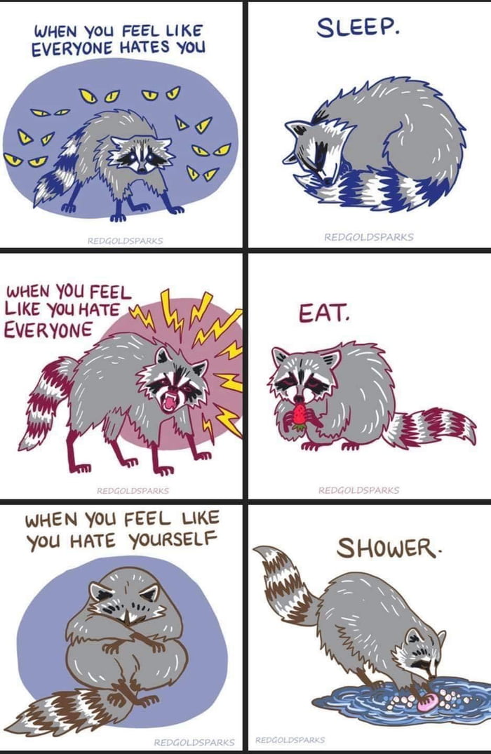 Just be a raccoon. Trash pandas are awesome. - 9GAG
