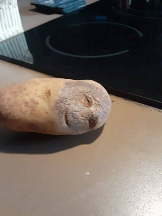 Voldemort potato - 9GAG