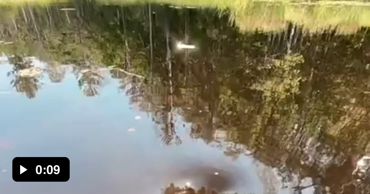 A Water Vortex Appearing In A Bog - 9GAG