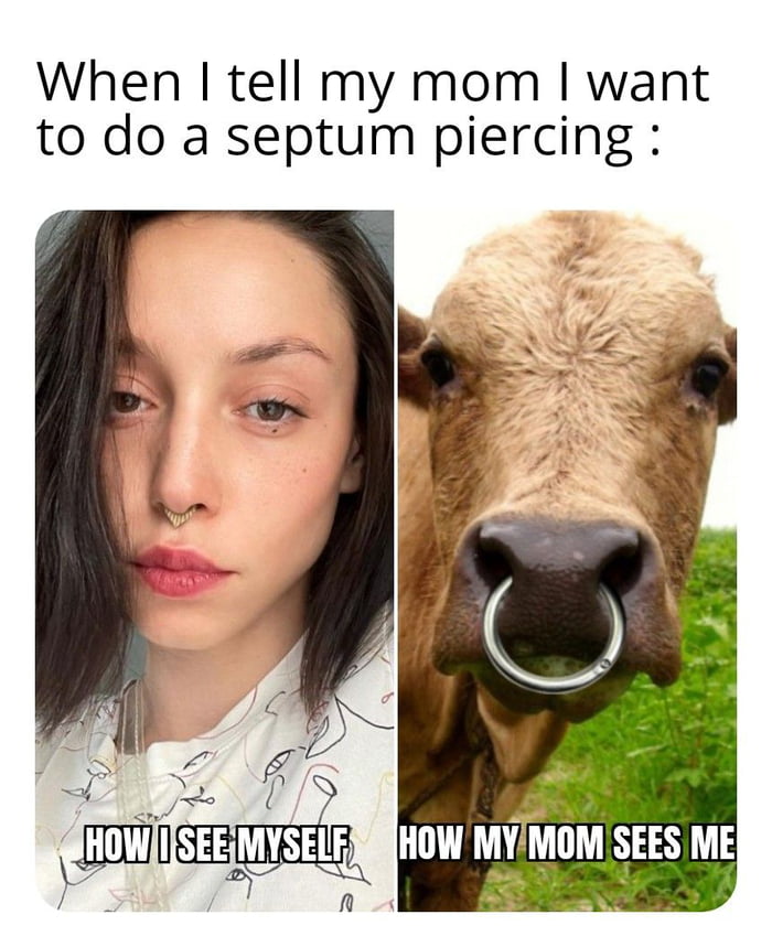 SEPTUM PIERCING OR NOTHING - 9GAG