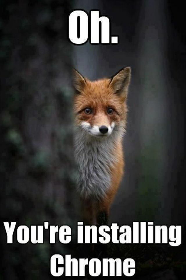 Sad fox - 9GAG