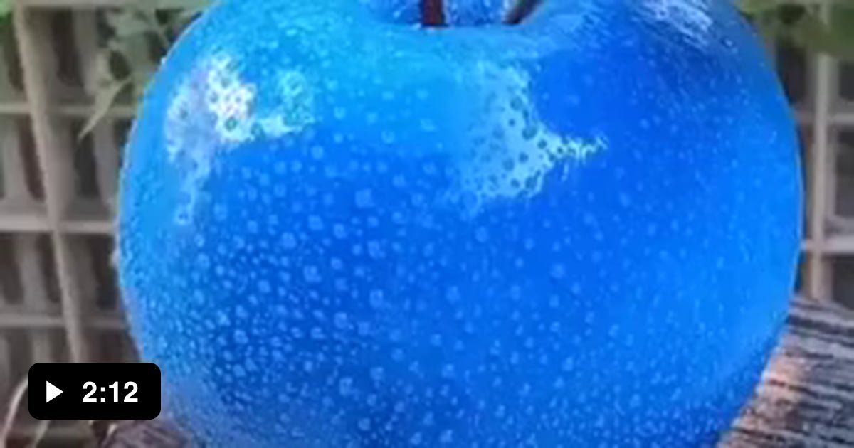 Real Blue Apple
