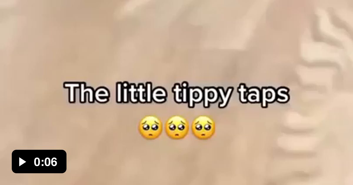 Hedgehog tippy taps - 9GAG