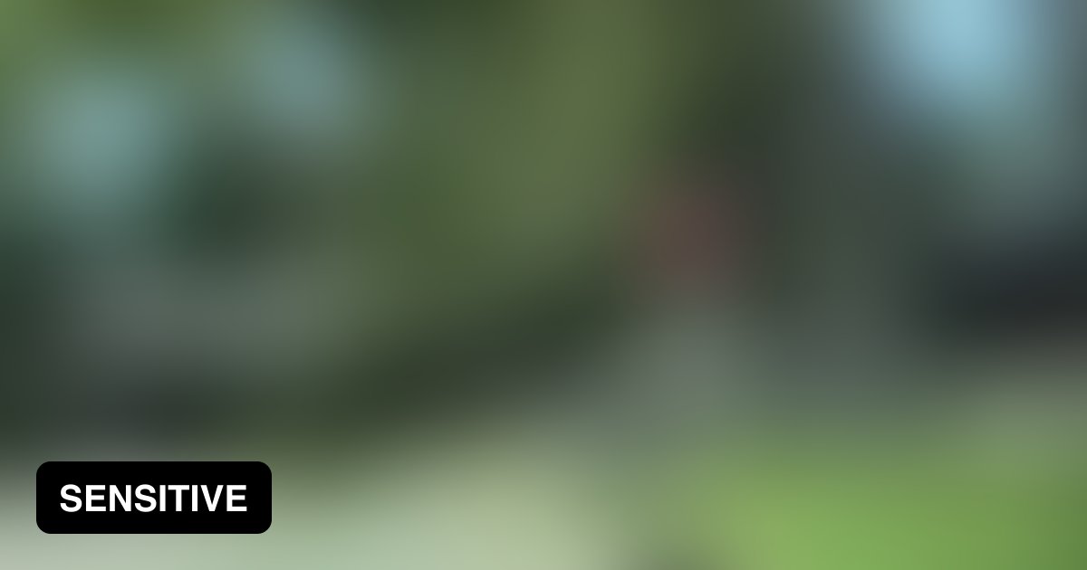 MMA Fighter Saves The Day, And Possibly An Officer, After Suspect Tries ...