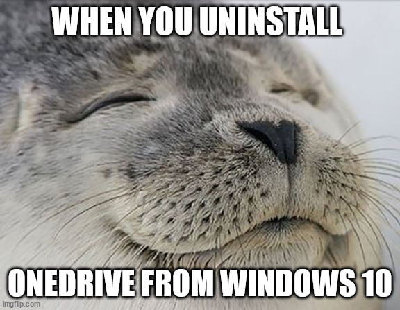 Second best day this year - 9GAG