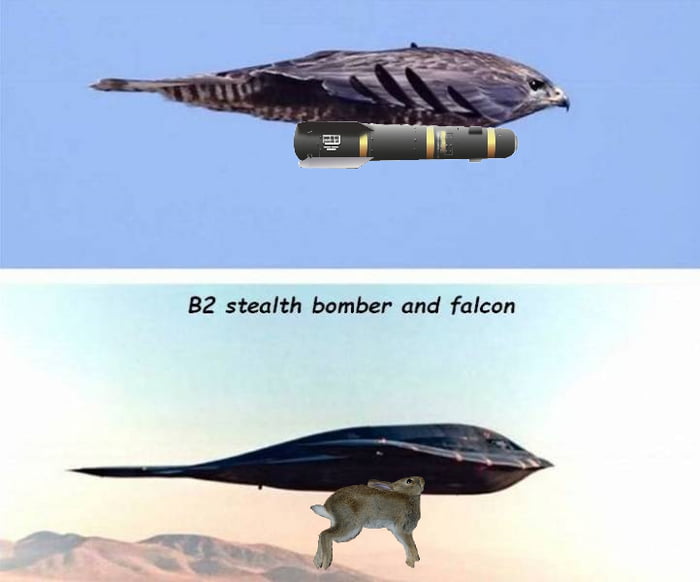 Stealth Falcon Bomber Predator - 9GAG