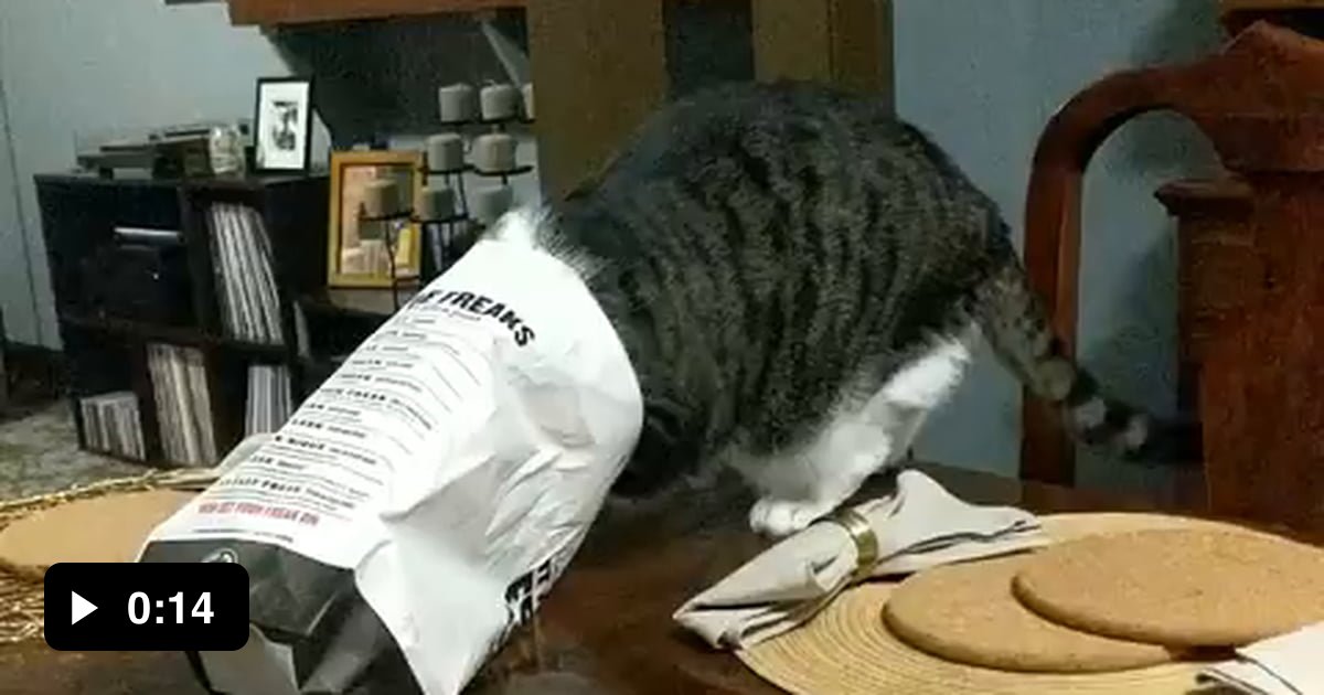 My trying to get the last fry out of the bag. - 9GAG