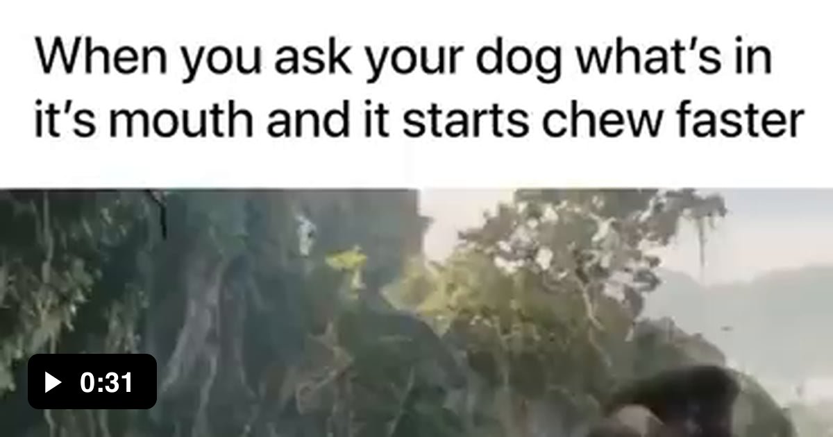 **chews faster** - 9GAG