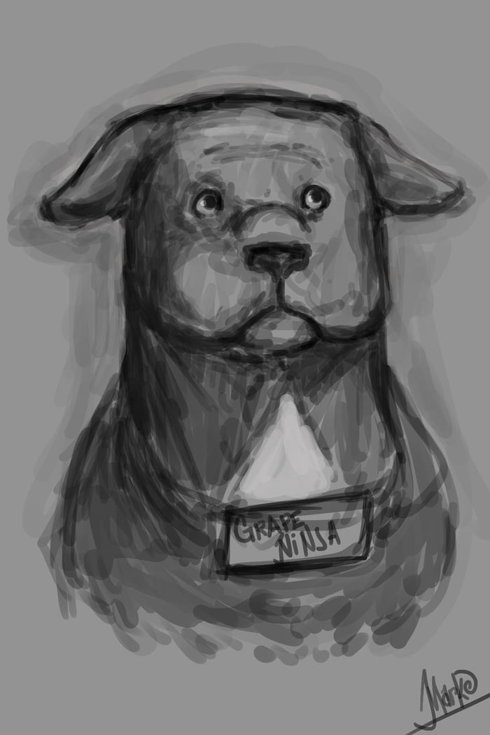 Decided to make a quick sketch of our Manager's American Bully Puppy ...