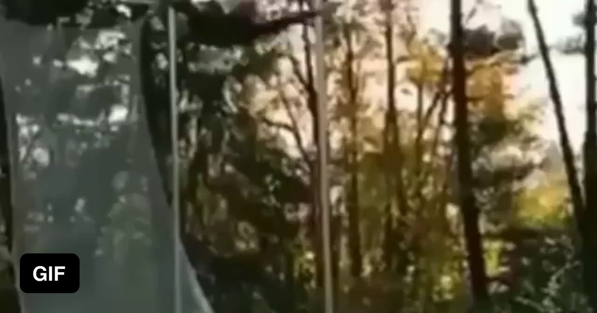 Oddly satisfying physics - 9GAG