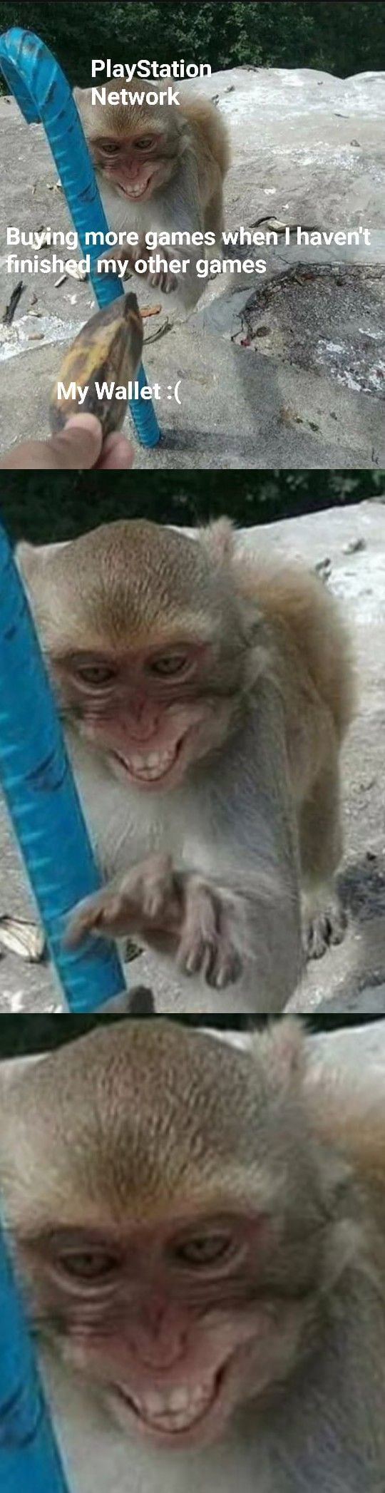 Monkey Hate Clean