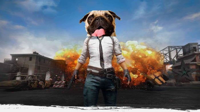 PUG-G: The newest Battle-Royal - 9GAG