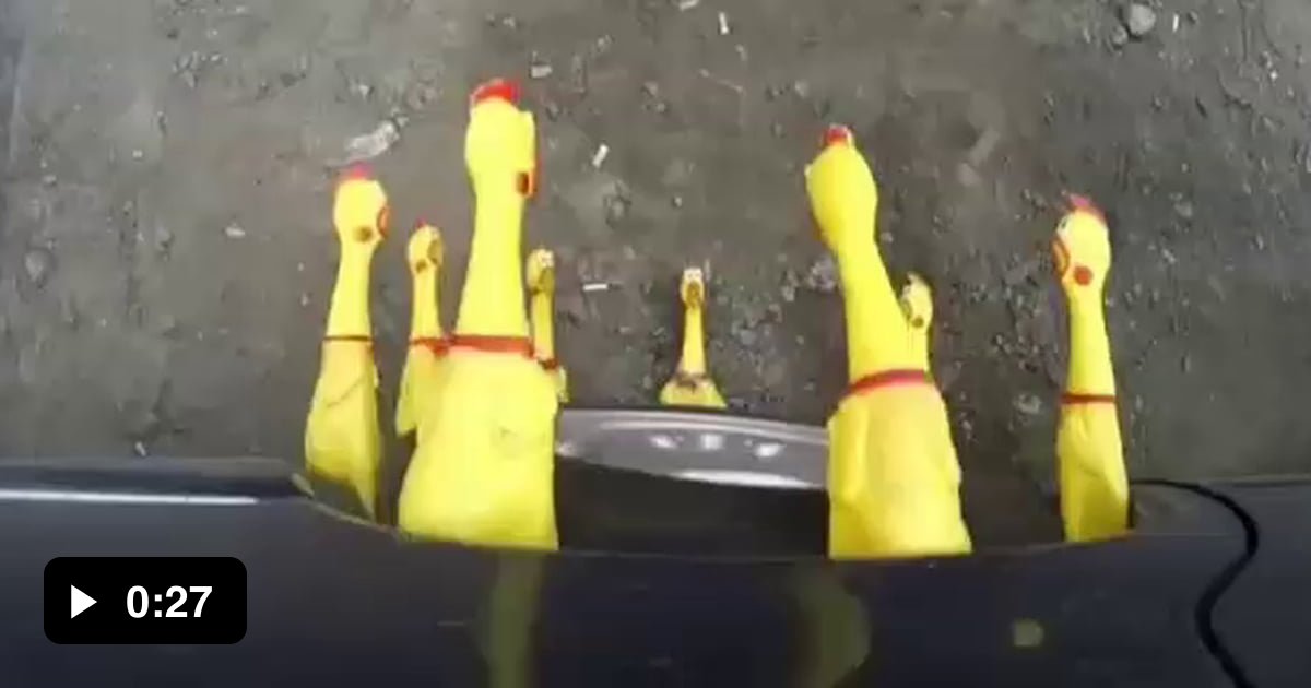 Rubber chicken car mods - 9GAG