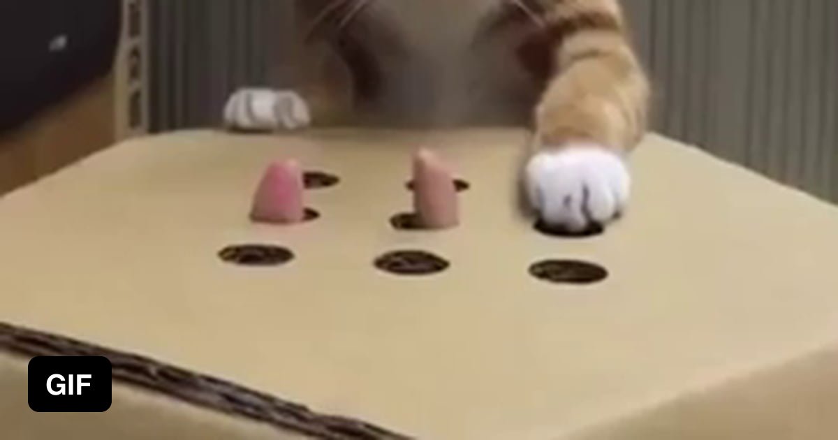 She Loves This Hide & Seek... - 9GAG