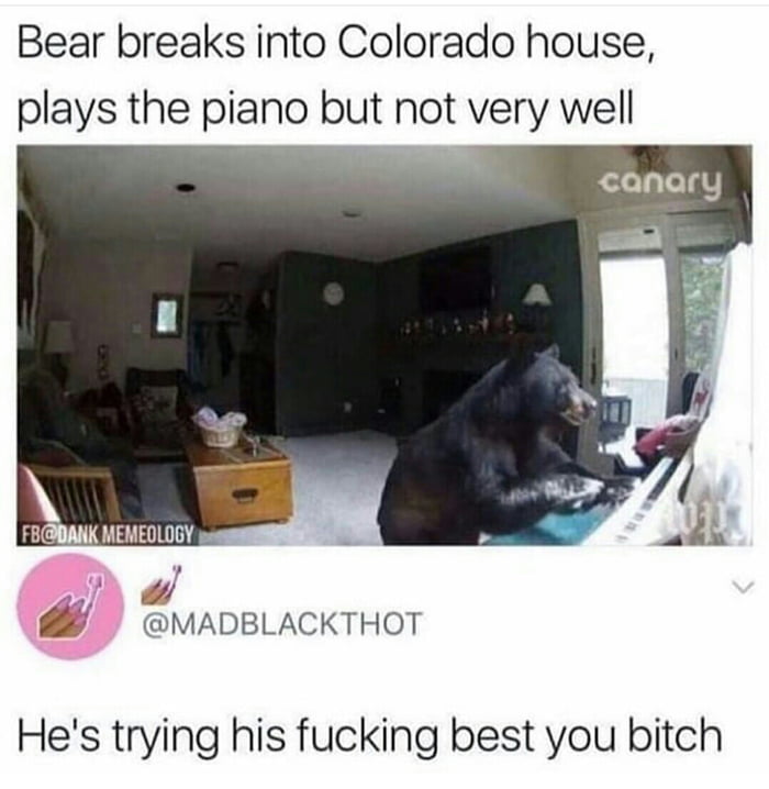 Poor Bear - 9GAG