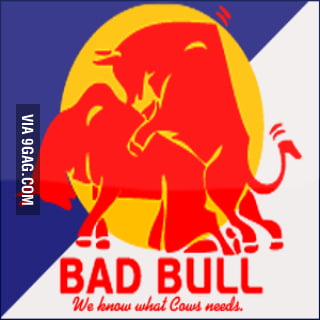 Bad Bull gives you an erection - 9GAG