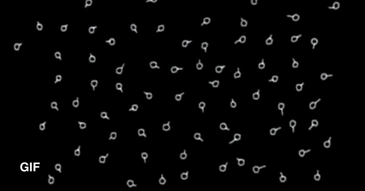 Human evolution in one gif. - 9GAG