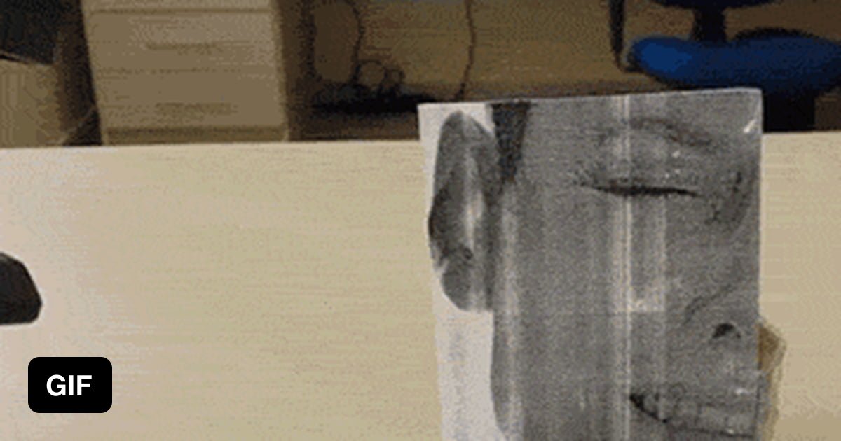 Alien: The Stapler - 9GAG