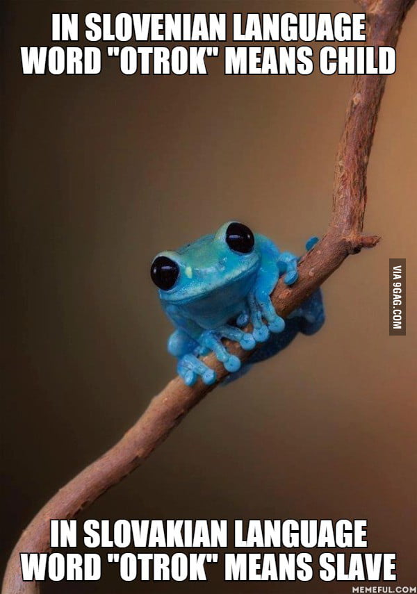 Both are Slavic languages - 9GAG